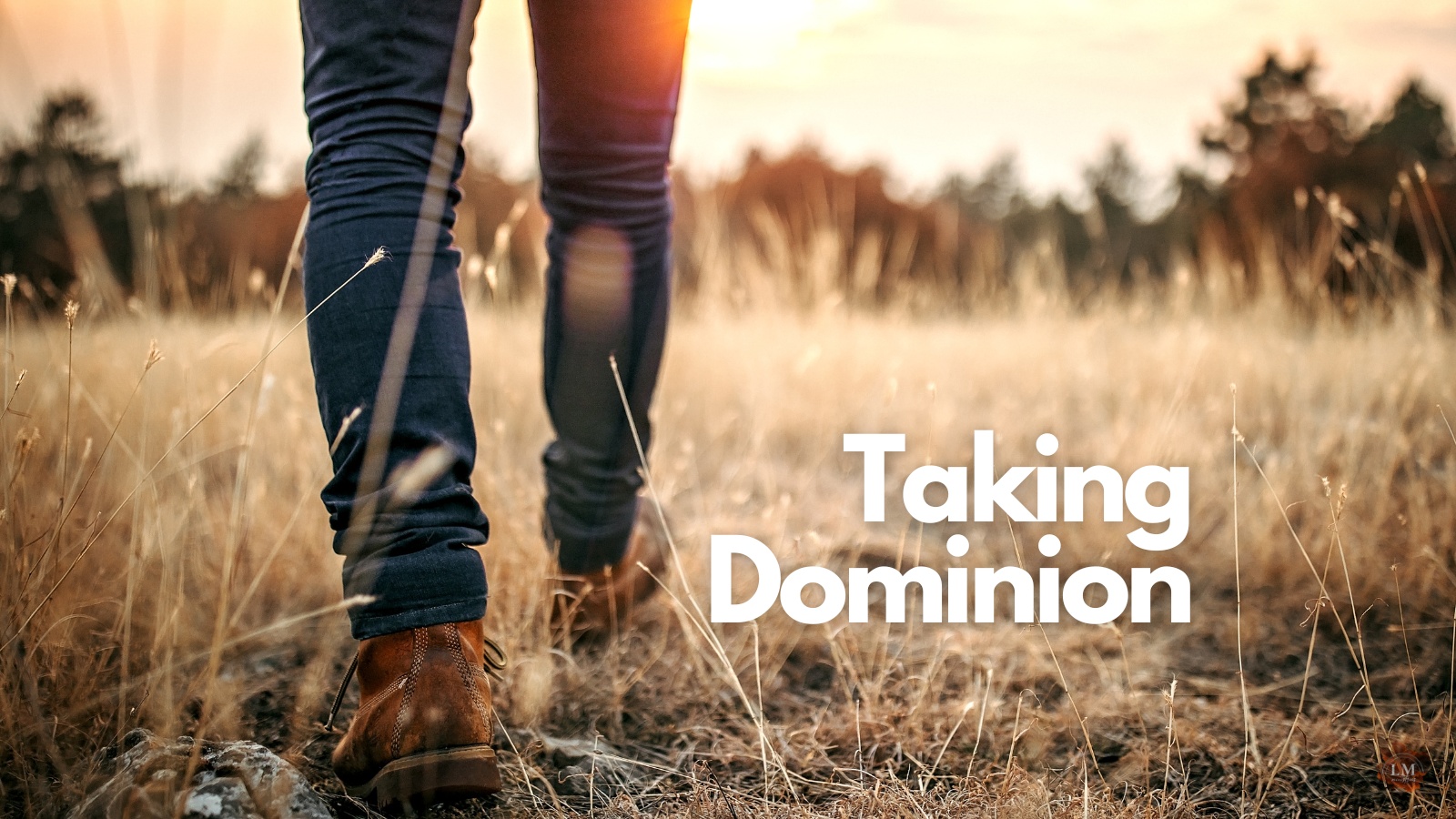 Taking Dominion - Linda Markowitz Ministries